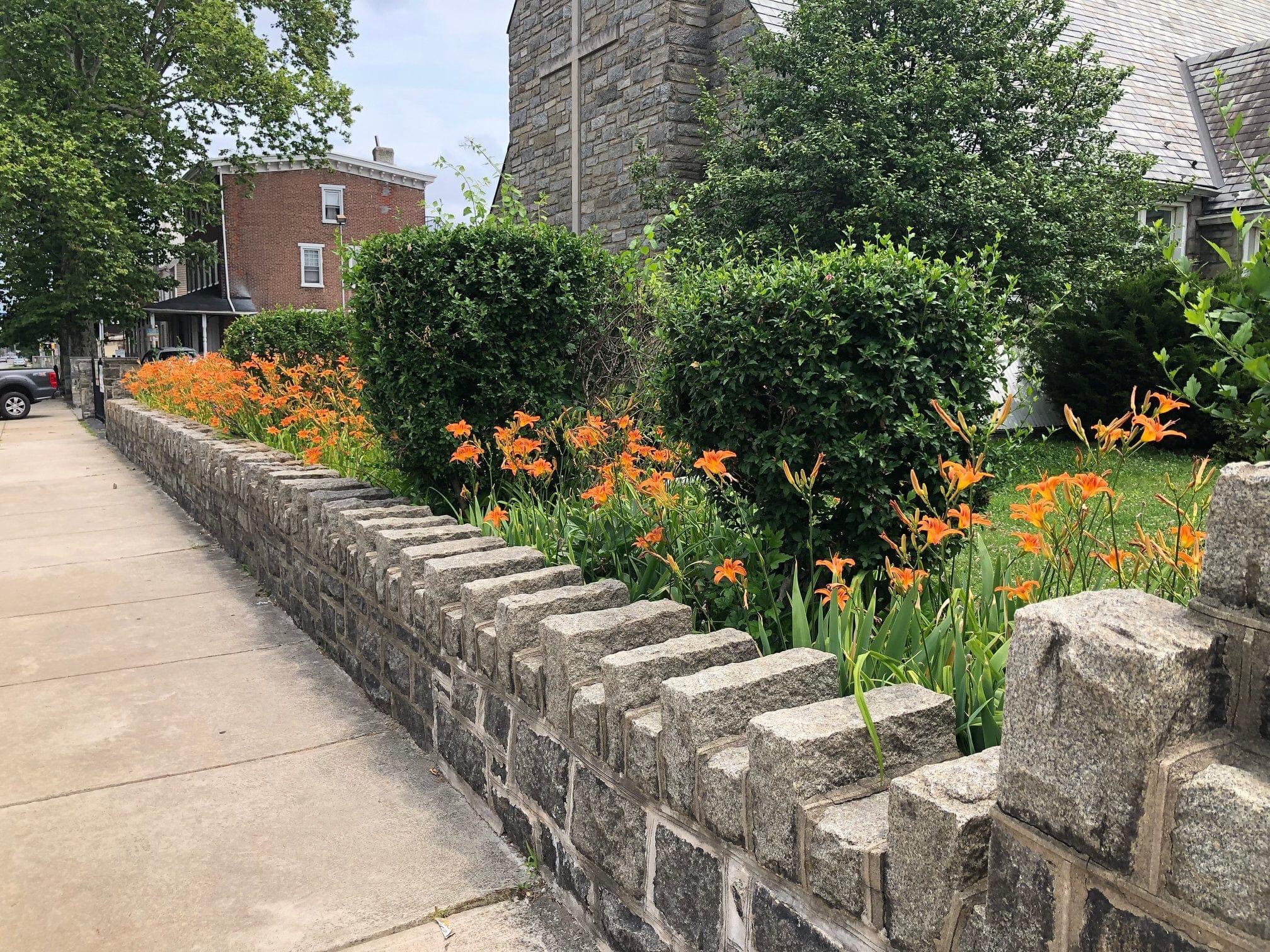 We’re in Bloom! | Chester Eastside