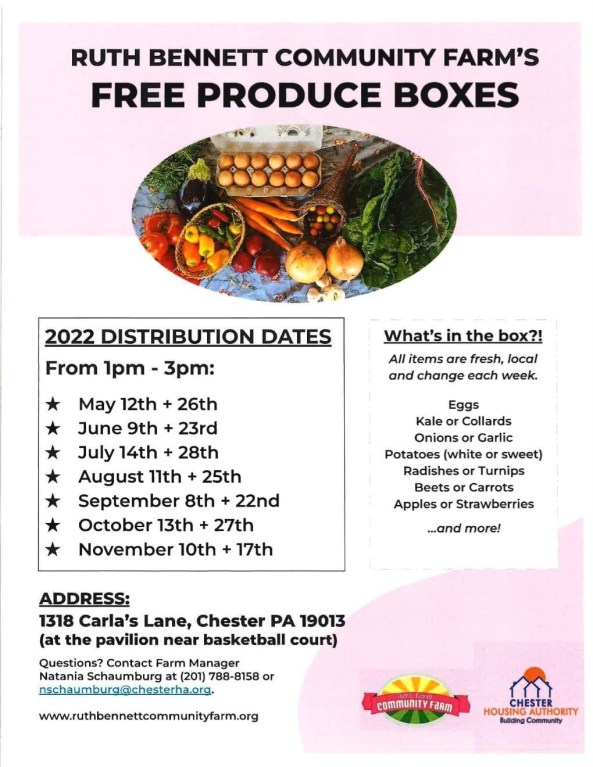 Free Produce Boxes 📦 | Chester Eastside